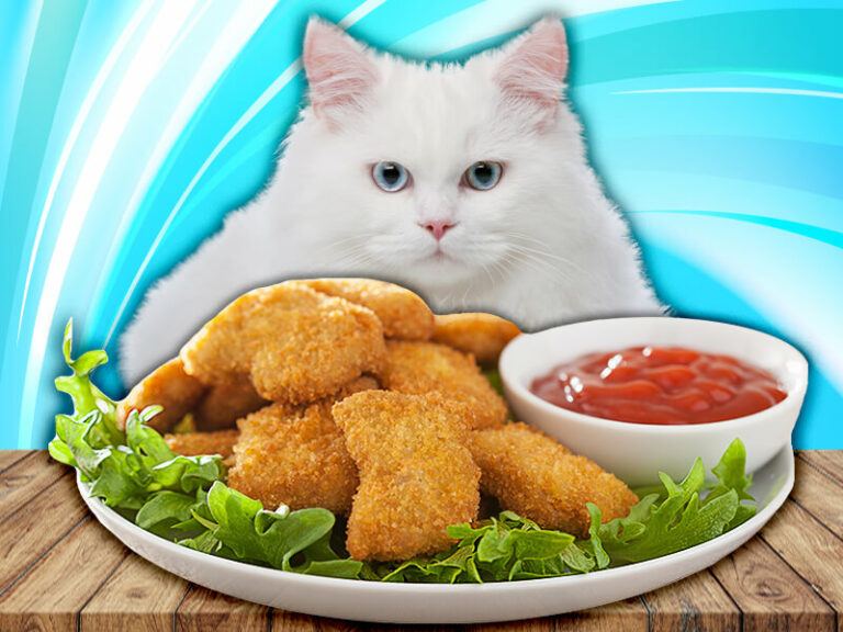 Can Cats Eat Chicken Nuggets? - Vocal Cats